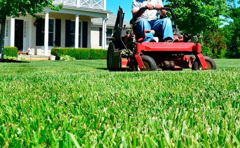 State of the Industry: Experts Predict the Future of Lawn Care in the ...